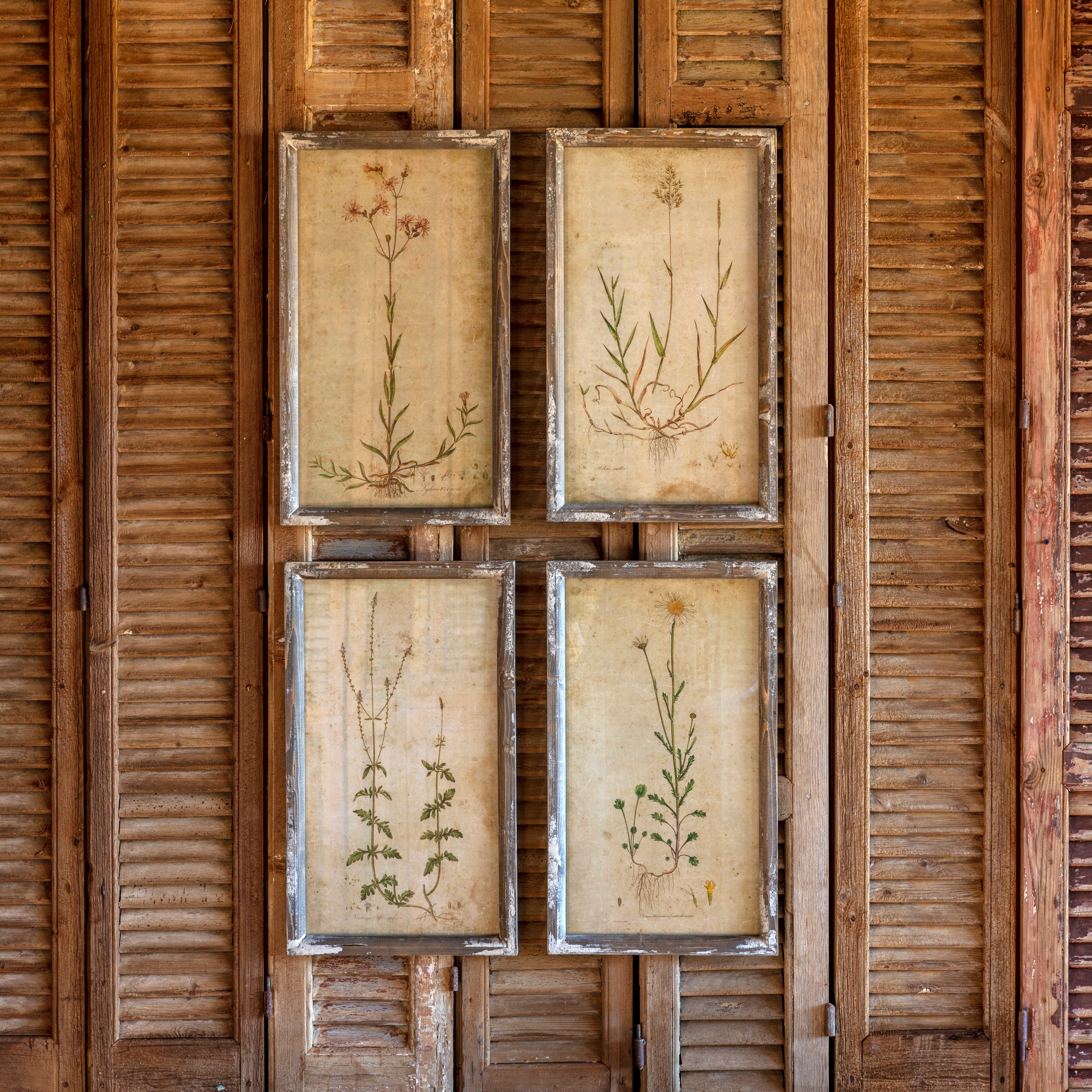 Oops! JavaScript is disabled