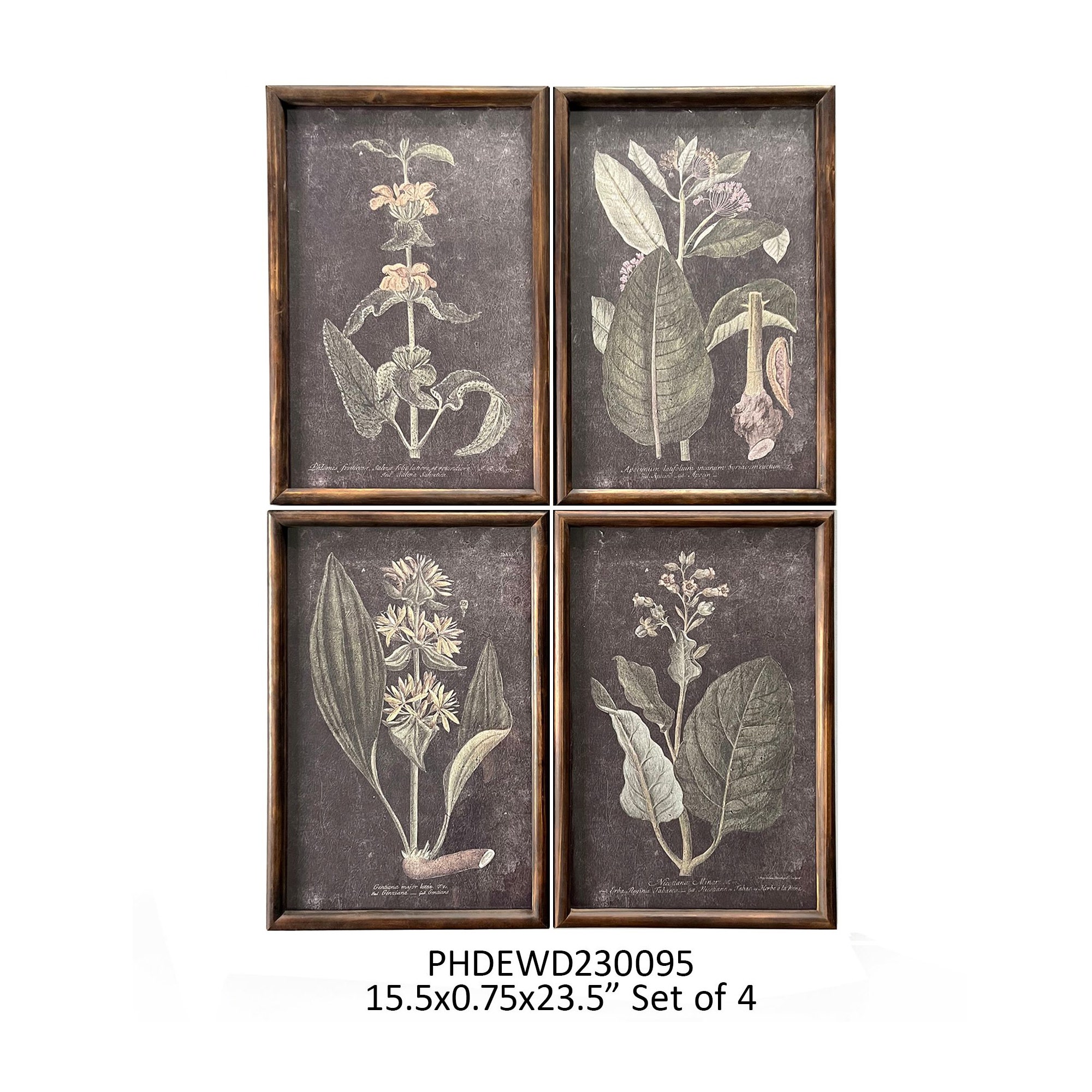 Oops! JavaScript is disabled