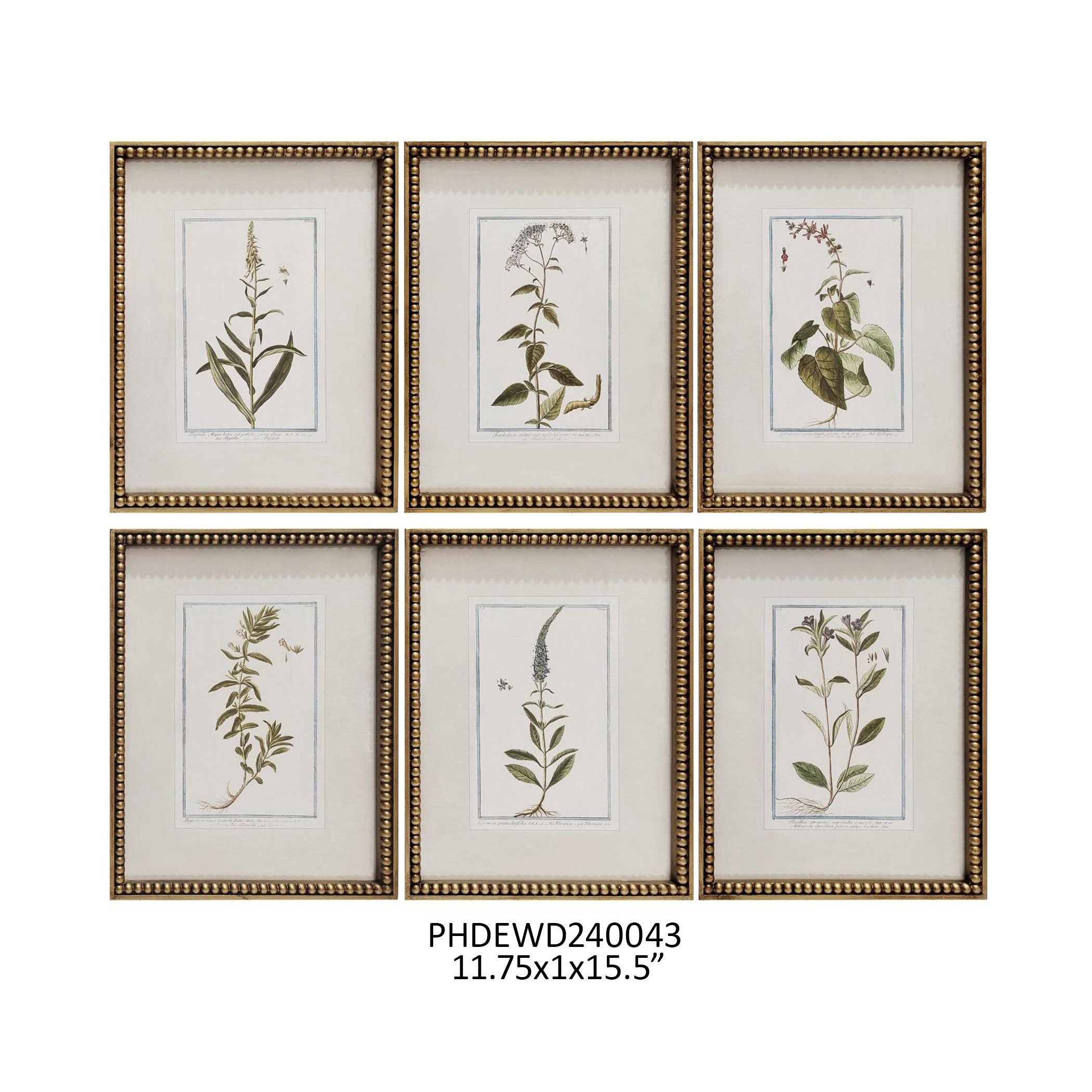 Oops! JavaScript is disabled